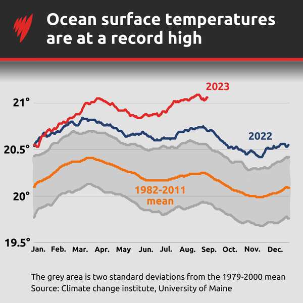 This is what Earth's hottest summer on record looks like | SBS News