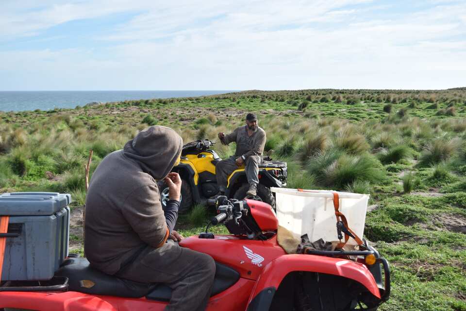 Mutton birding: a story of cultural obligation, Blak joy and survival ...