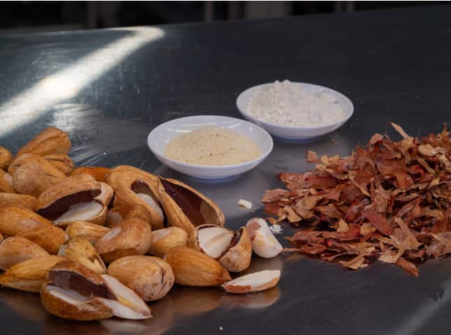 New research has shown how powerful the bunya nut is | SBS NITV