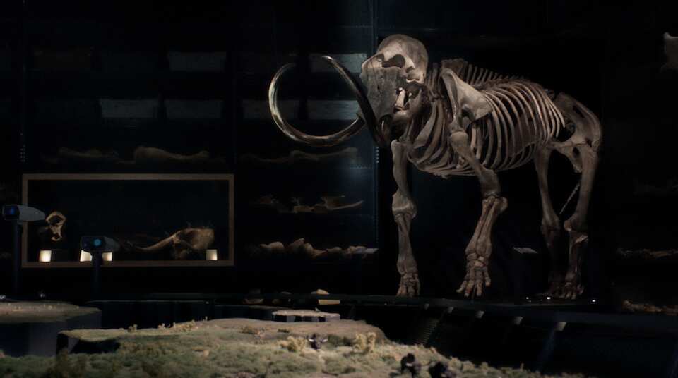 Australian company creates meatball using mammoth DNA | SBS News
