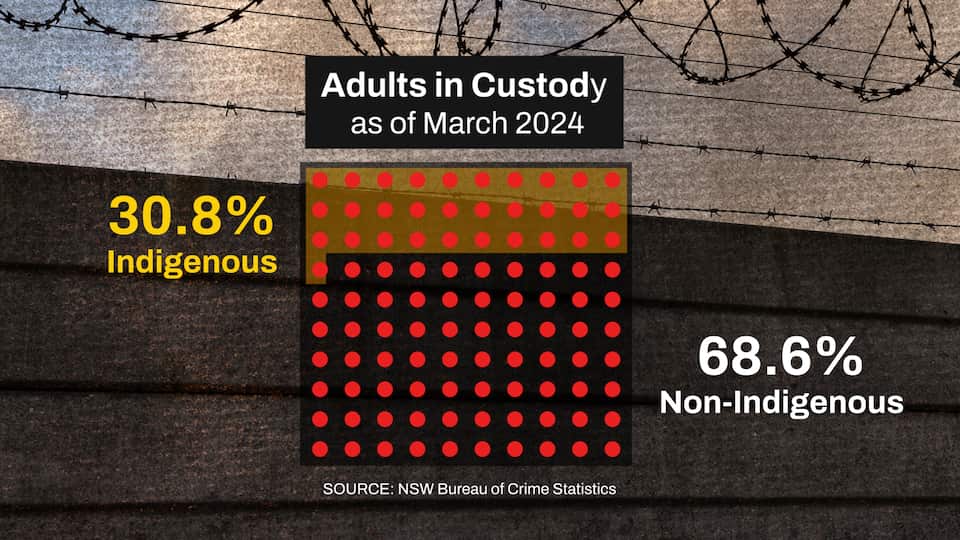 'It’s not a good place for anyone': Indigenous incarceration figures in ...