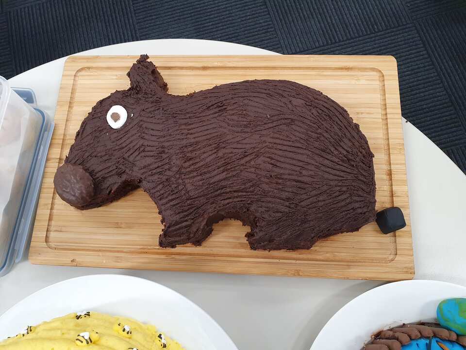 Threatened Species Bake Off: 'Ugly' animals lose out | SBS News