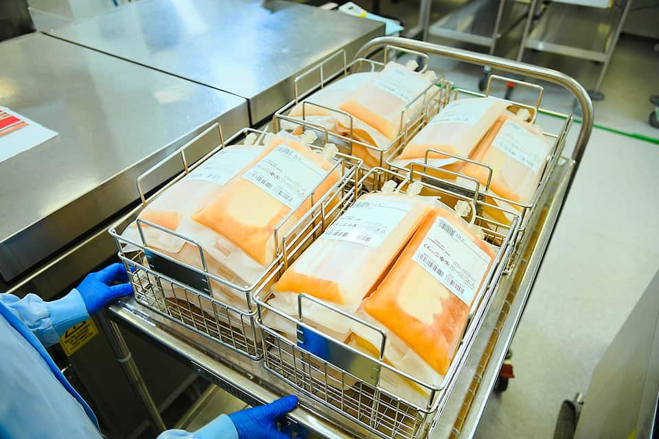 How to donate blood in Australia | SBS English