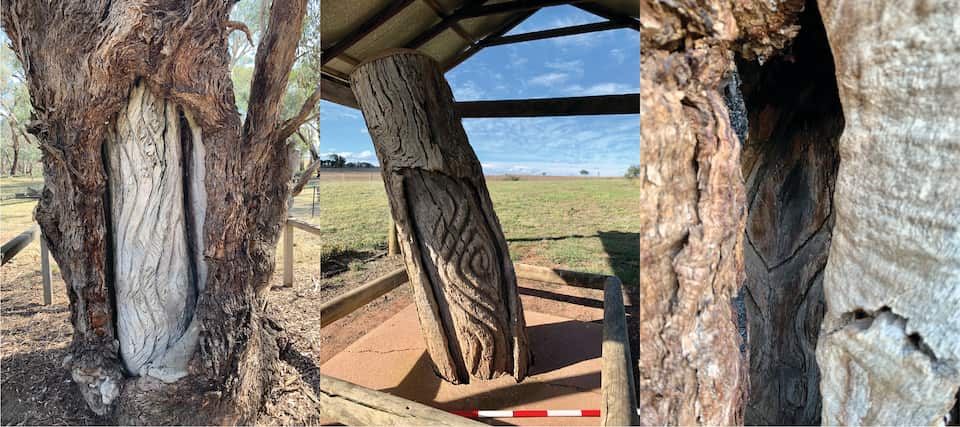 This landmark study has helped uncover the history of Wiradjuri scar ...