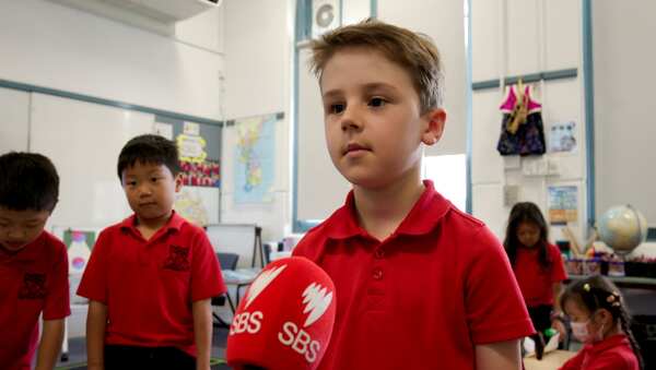 More Australians are learning this language. Are K-pop and K-dramas to ...