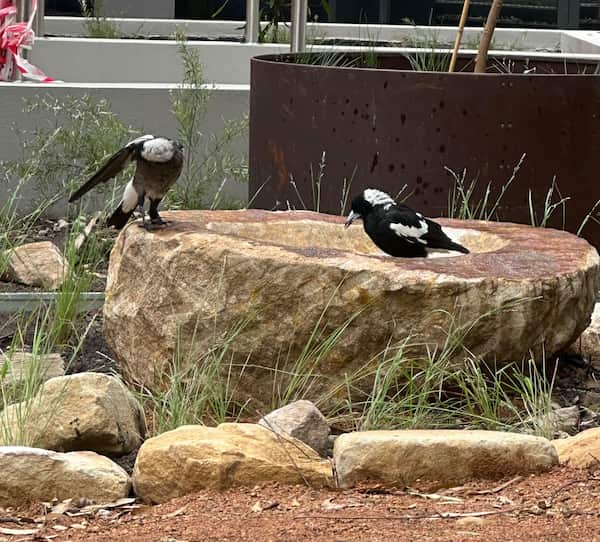 Redfern community raised these two men. Now they're giving back through ...