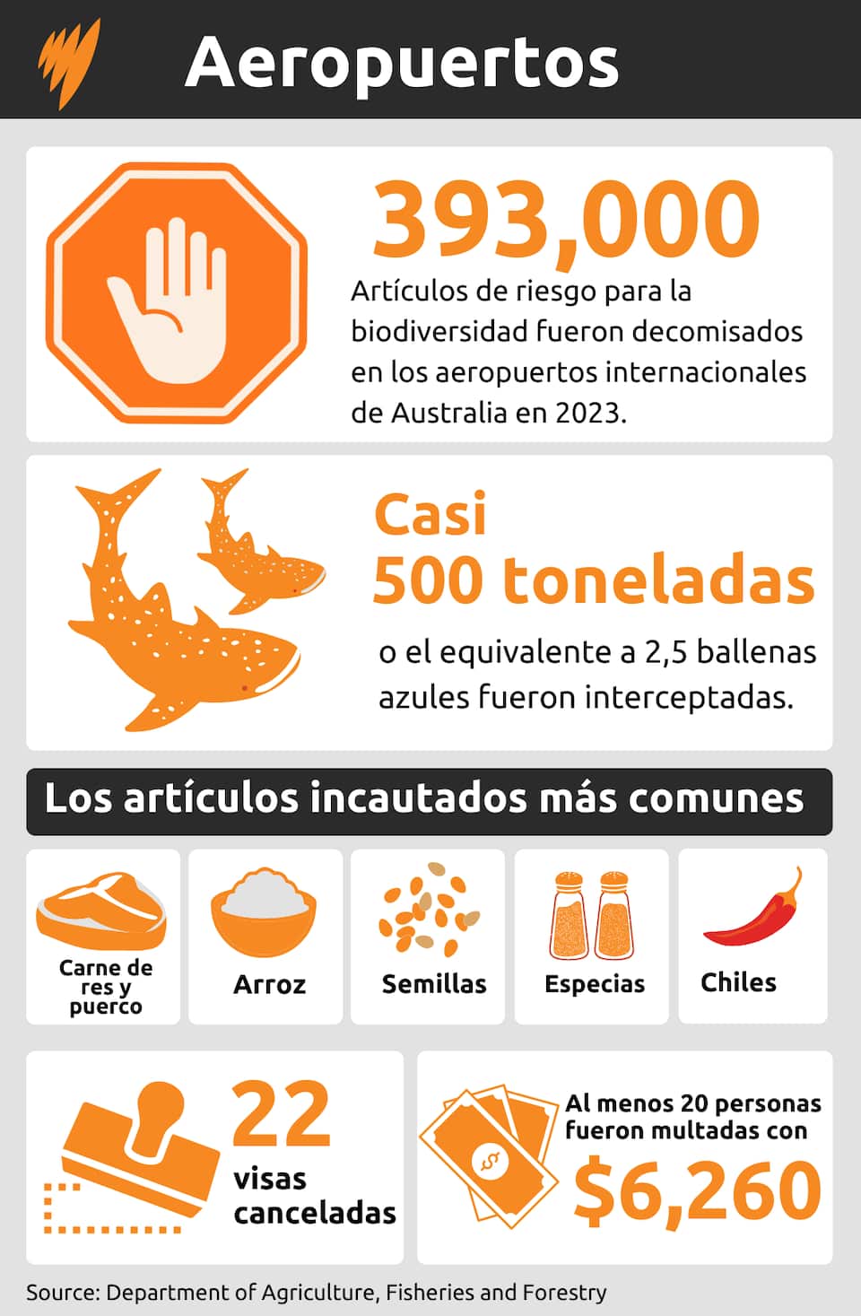 Riñones de pato, sapos y nidos de pájaros: los extraños objetos ...
