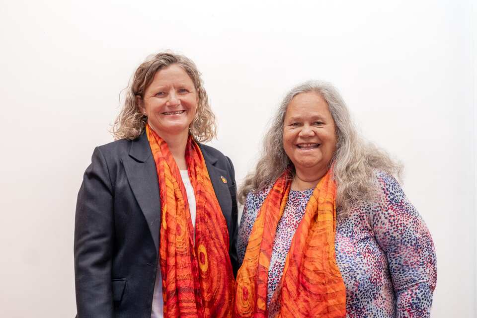 The importance of understanding cultural diversity among Indigenous ...
