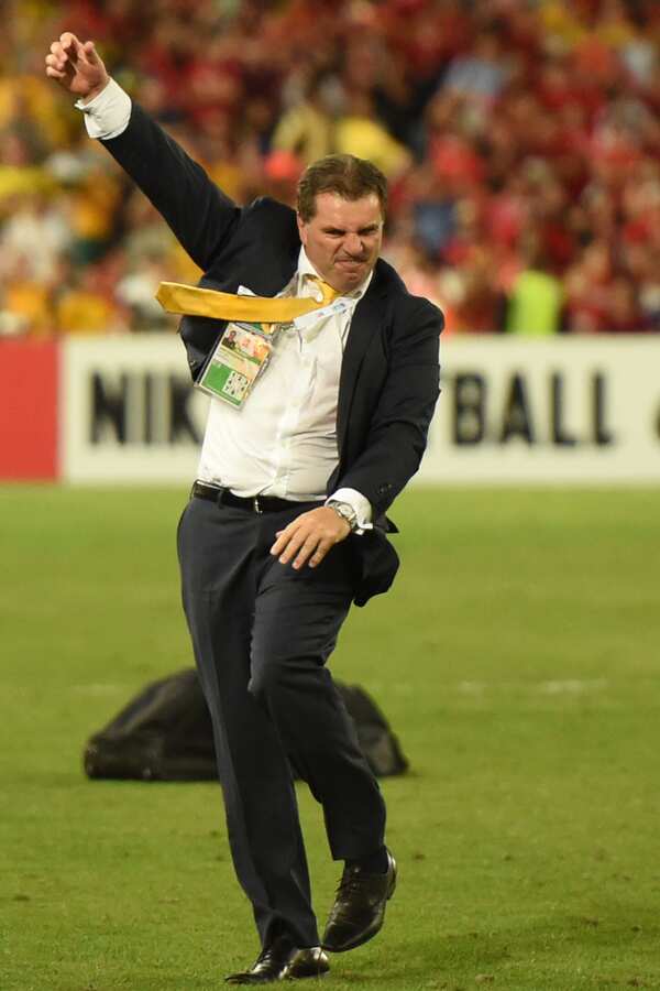 Ange Postecoglou: What to know about Tottenham Hotspur's new boss | SBS ...