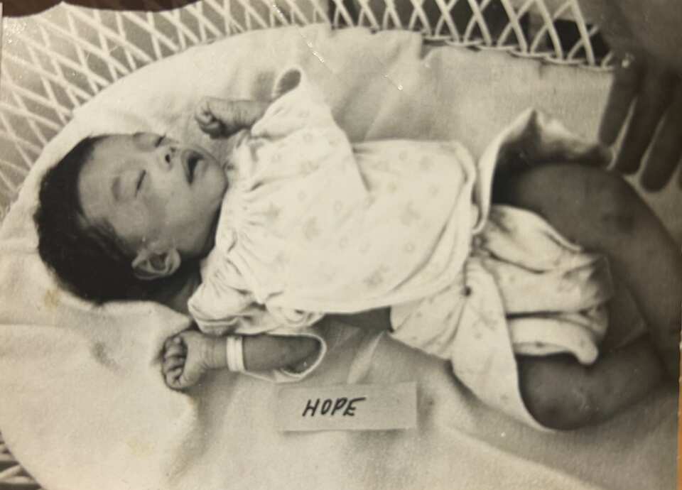 The children of Vietnam's 'Operation Babylift' 50 years on | SBS News