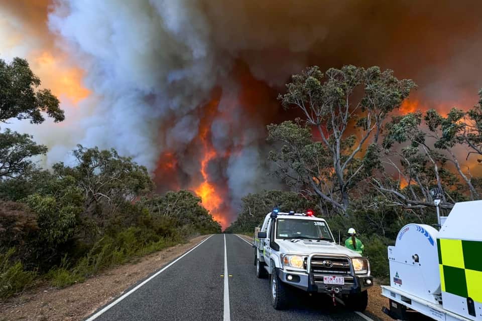 Bushfires: States on fire alert amid extreme heat and gusty winds | SBS ...
