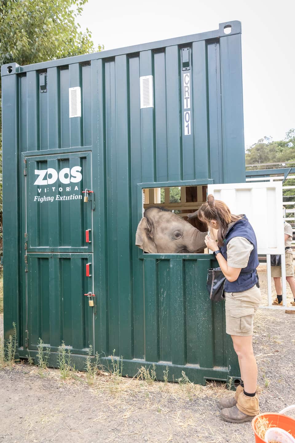 Elephant diplomacy: A new zoo sanctuary is strengthening Australia's ...