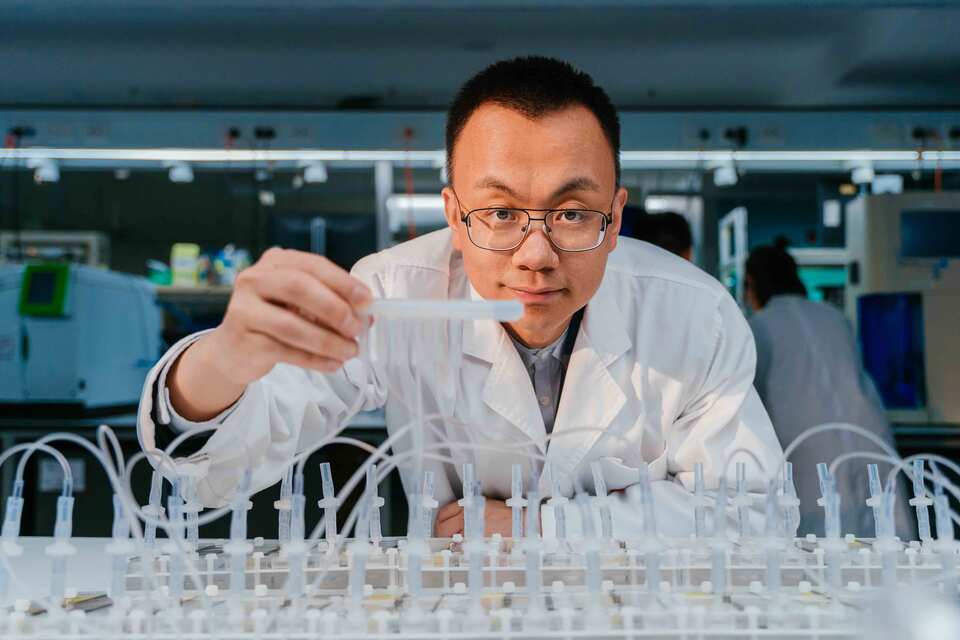 华人教授马天翼获总理科学奖：从纳米材料到清洁能源 | SBS Chinese