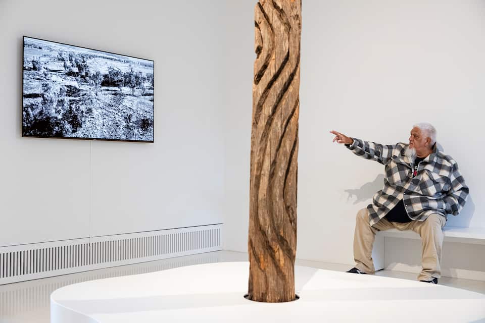 Carved tree returned to Gamilaraay from Swiss museum | SBS NITV