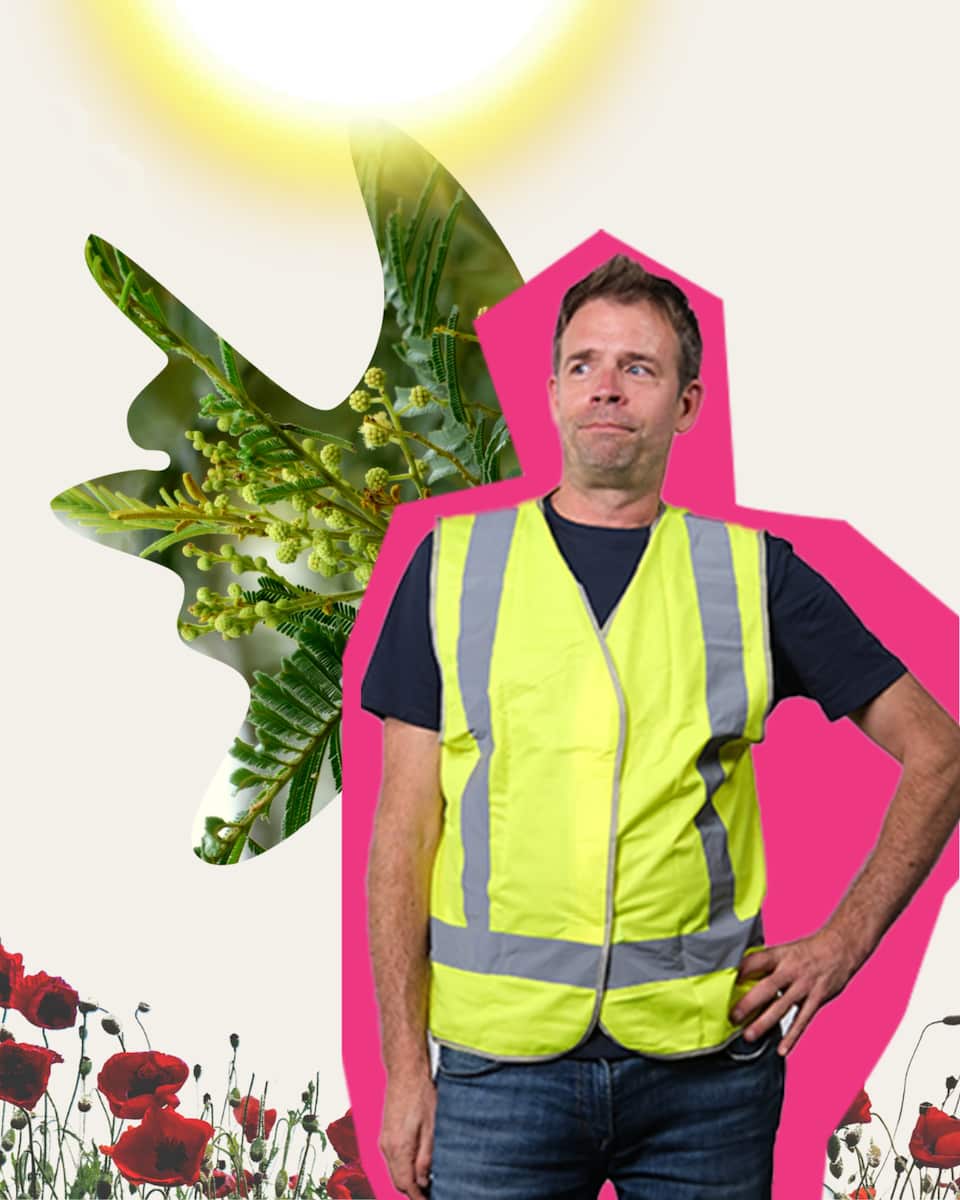 Is Australian English different from English? | SBS English