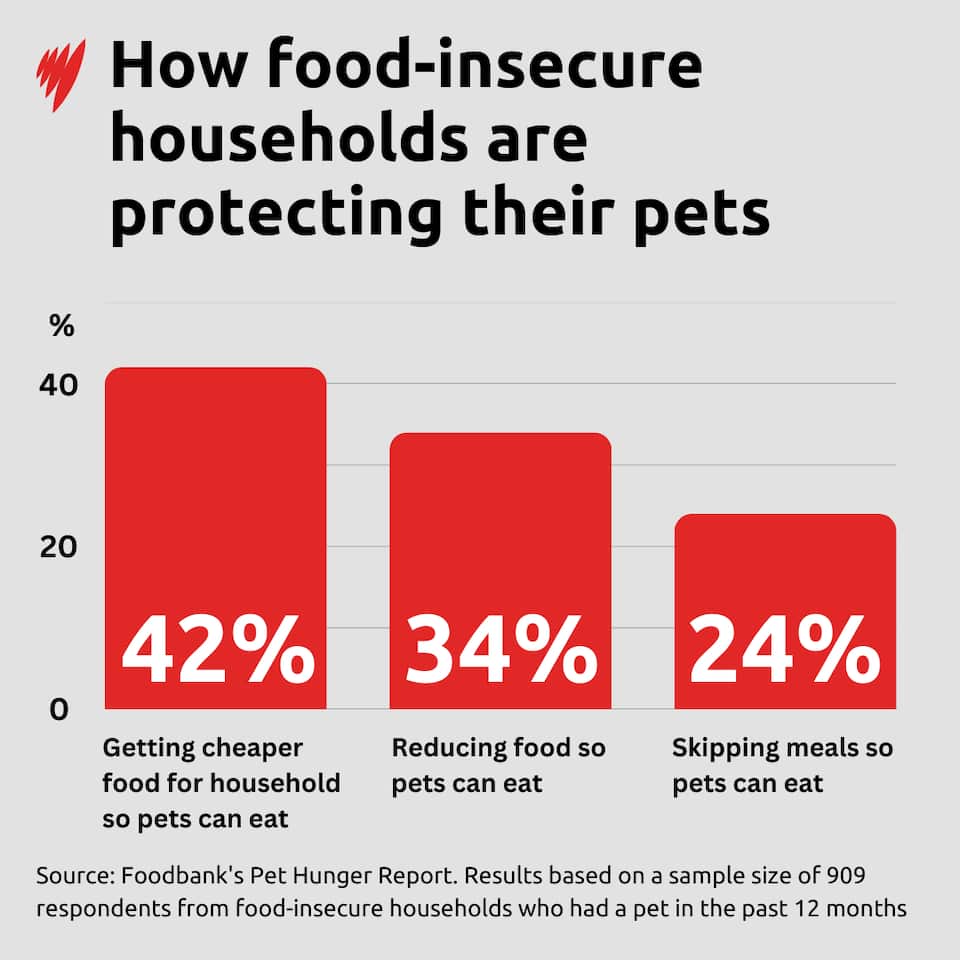 The impossible choice facing some Australian pet owners | SBS News