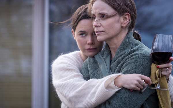 'The Bridge' creator and star reunite for cold-case drama 'Fallen ...