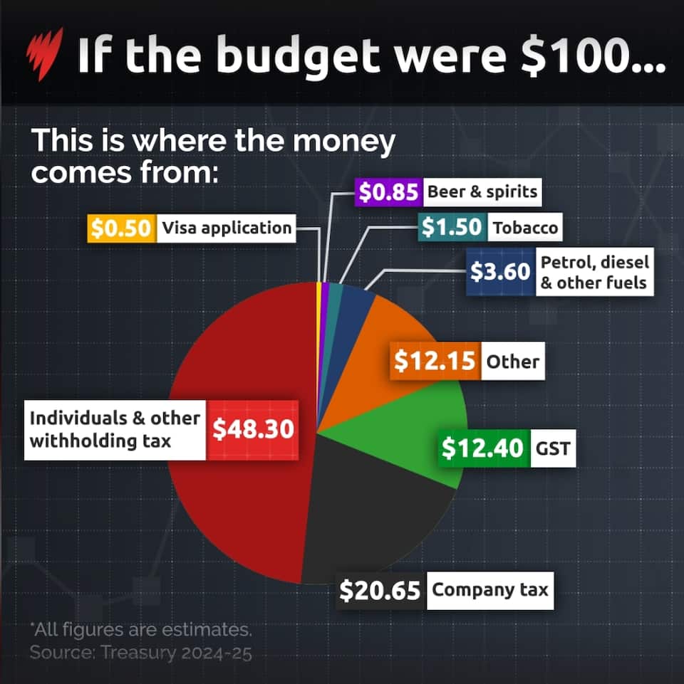 The Australian budget is big. Let's break it down | SBS News