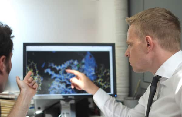 Tick bites can induce a potentially fatal meat allergy. Here's what to ...