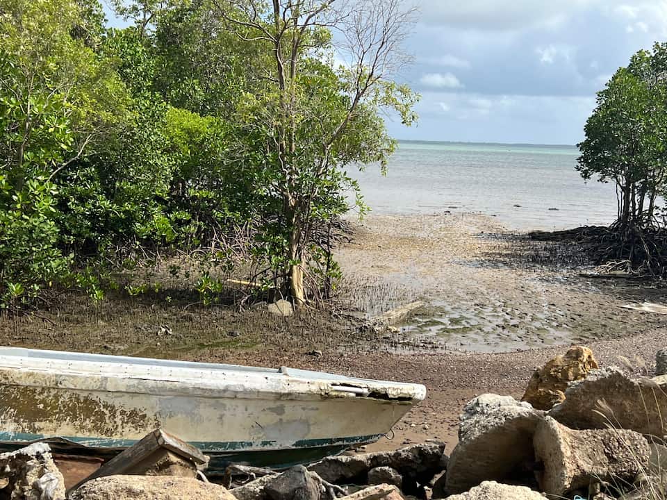 The Torres Strait Islanders fighting to save their homes from the ...