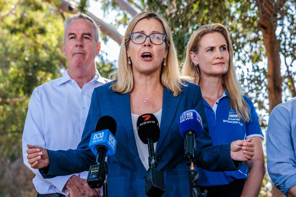 Why Western Australia's election matters more than you may think | SBS News
