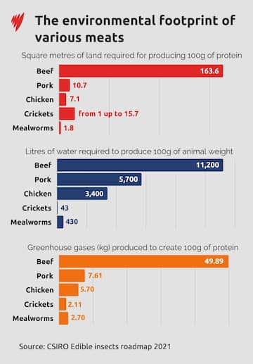 Australia's edible insects: Are they really the food of the future ...
