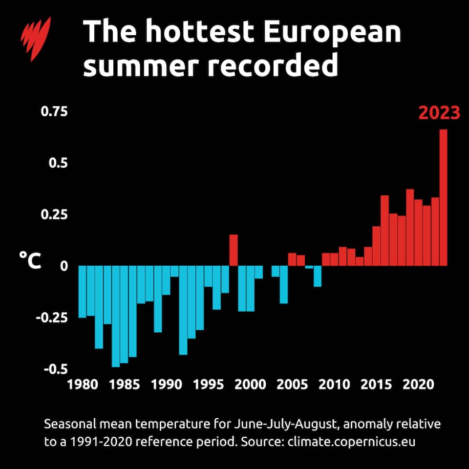 This is what Earth's hottest summer on record looks like | SBS News