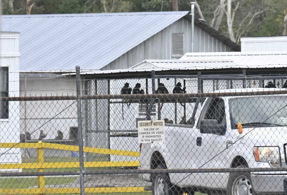 Monkeys still at large after escaping research facility | SBS News