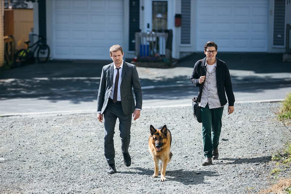 'Hudson & Rex' are back for more feel-good crime fighting | SBS What's On