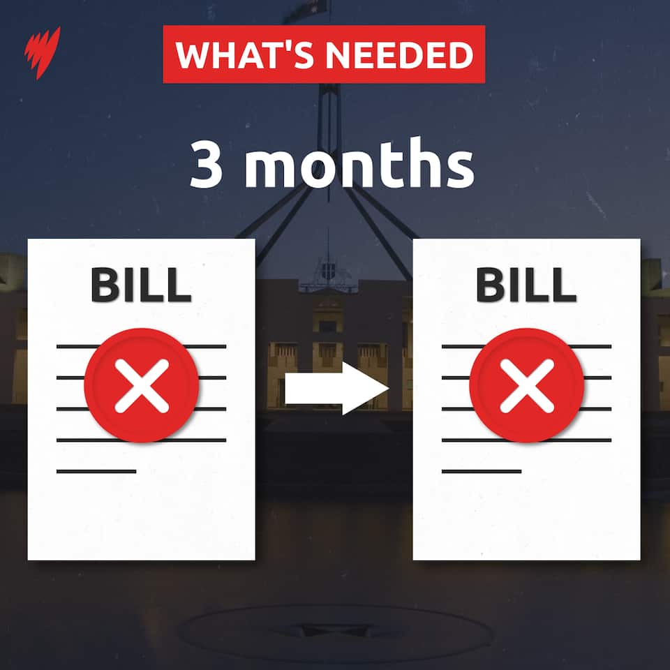 What is a double dissolution election? | SBS News