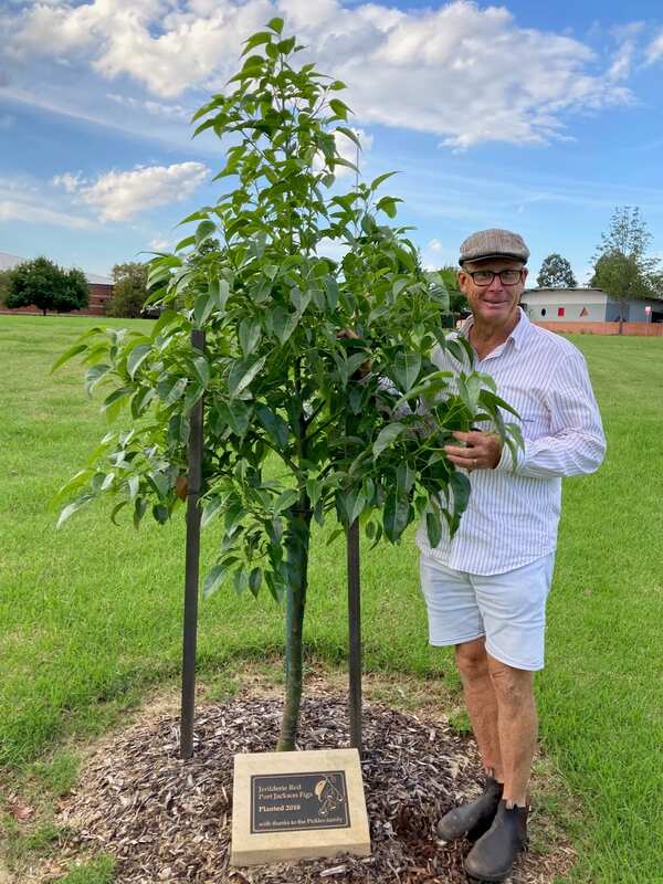 Tim plants trees in secret. He's one of many Australians creating a ...