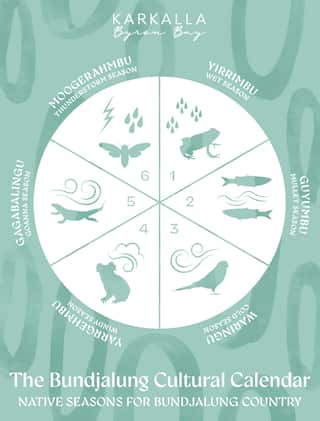 Indigenous Australian seasons: What you need to know | SBS Food