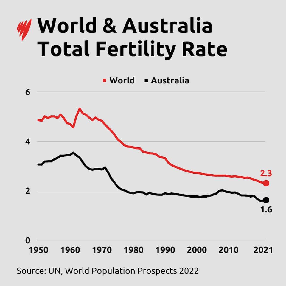 The world population has hit 8 billion, but we won't keep growing ...