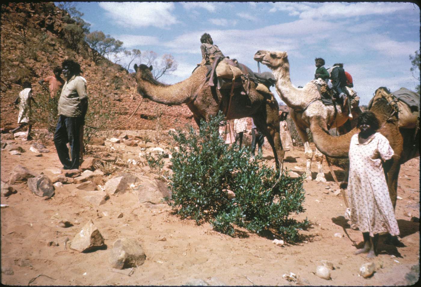 Every Hill Got a Story, Chapters 7-12 | SBS NITV