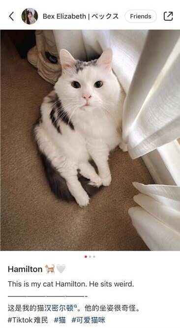 Short-lived TikTok ban's 'unexpected' impact on China's great firewall | SBS News