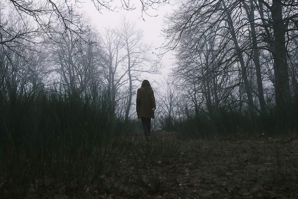 Lost memories and a grim discovery collide in ‘Forest of the Missing ...