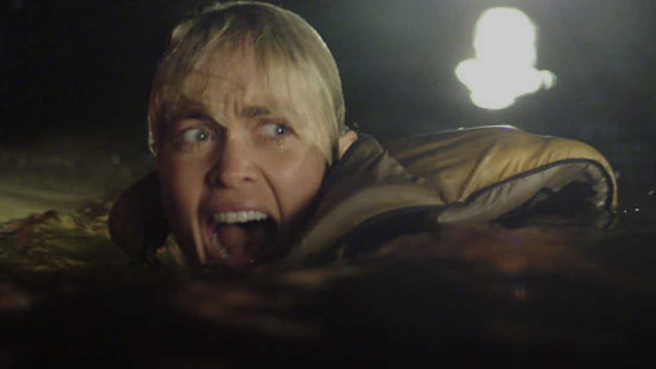 animals attacking man