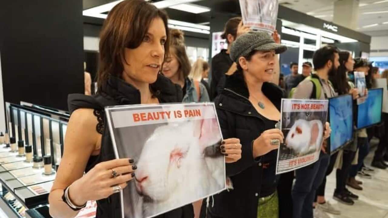 animal testing protests