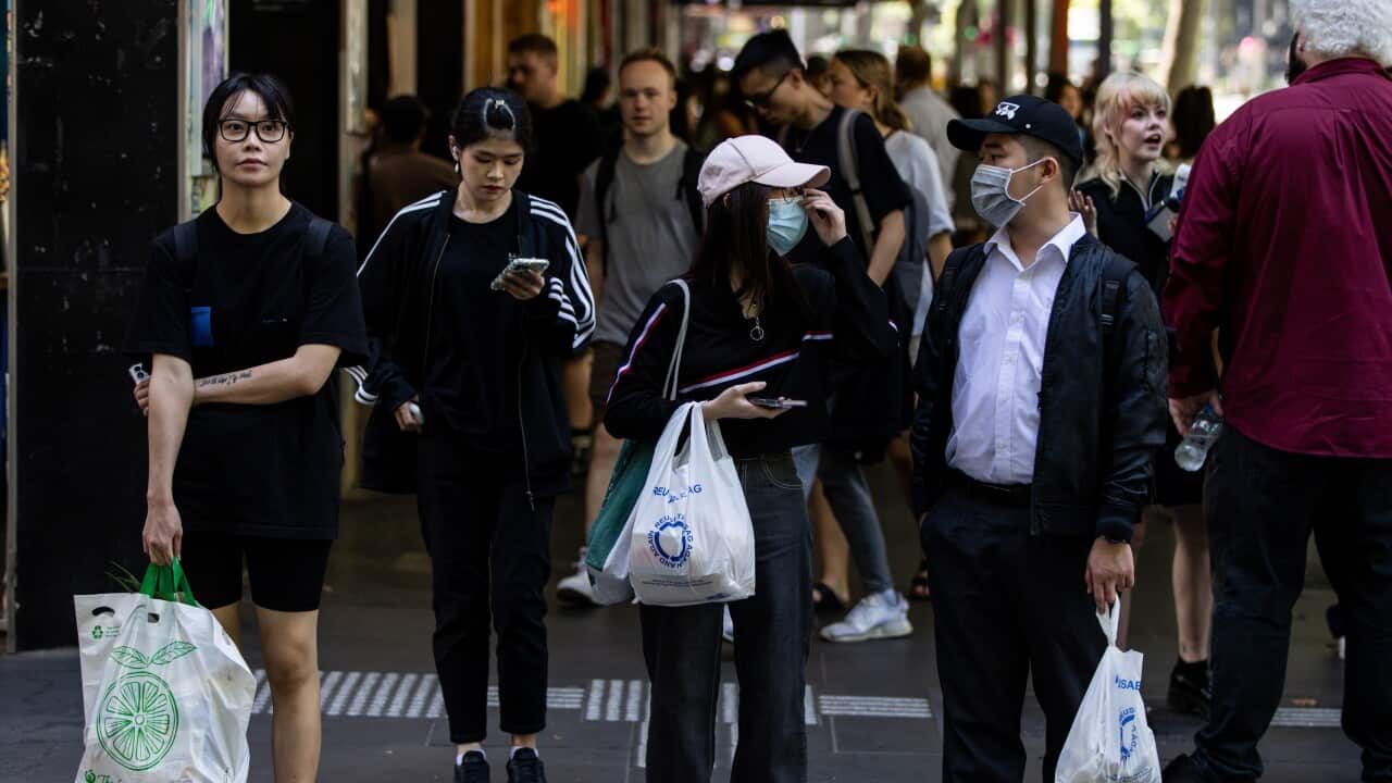 Australian tej scientists txheeb tau ib co protein hauv ntsws uas muaj peev xwm tiv thaiv thiab ...