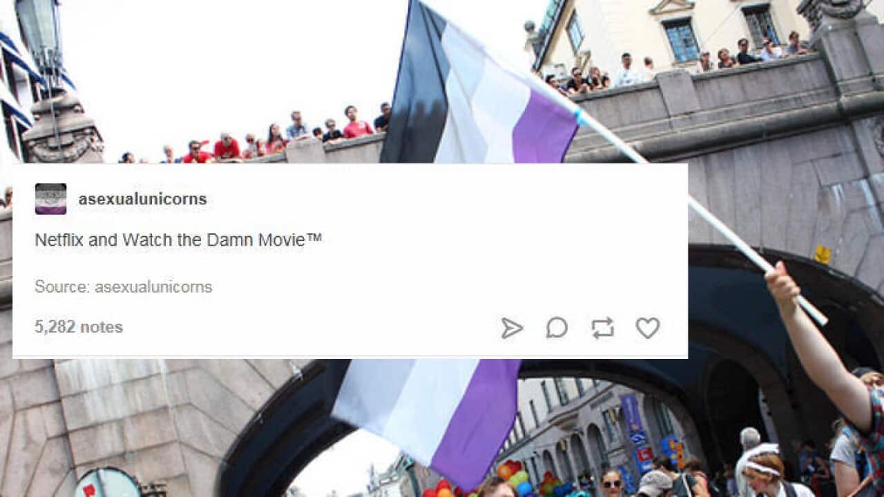 Literally Just 14 Tumblr Posts About Being Asexual Sbs Voices