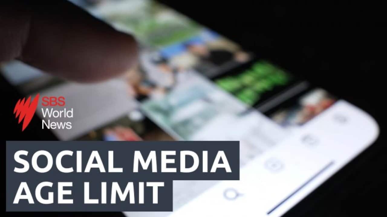 World-first social media age limit I SBS News | SBS News