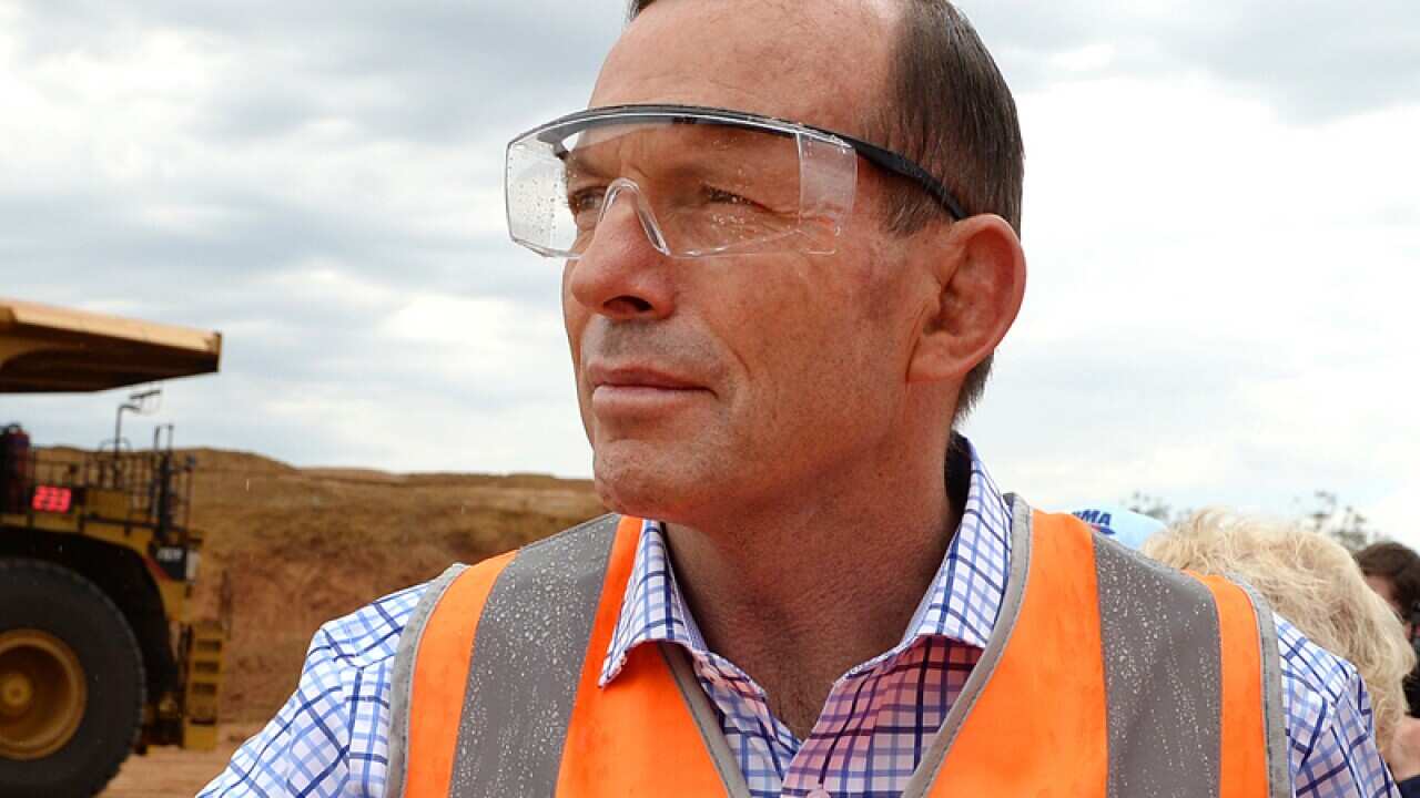 Abbott To Shirtfront Putin Over Mh17 Sbs News