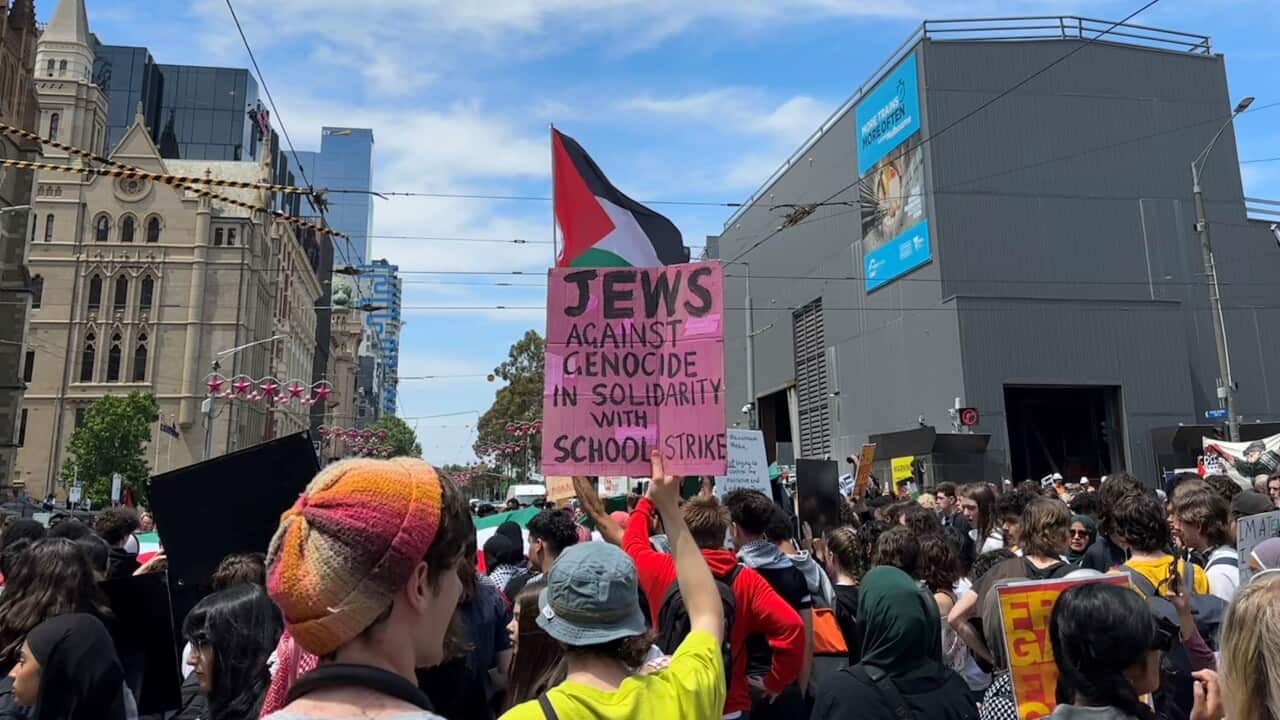 SBS Hindi Newsflash 23 November 2023: Victorian students rallied ...