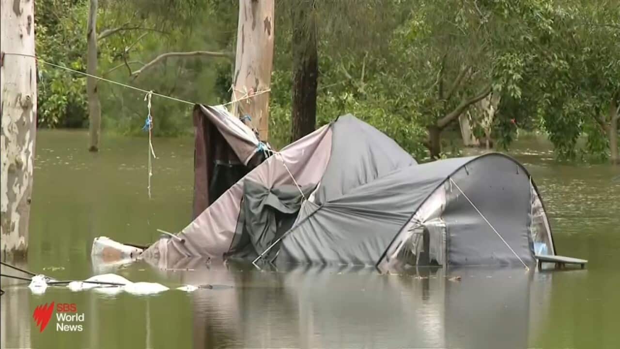 Queensland's rough sleepers forced to leave tents after ex-Tropical Cyclone Alfred's flooding I ...