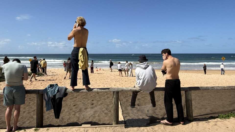 Man dies in Dee Why shark attack on Sydney's Northern Beaches | SBS News