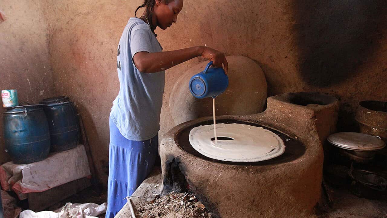 ancient fermentation