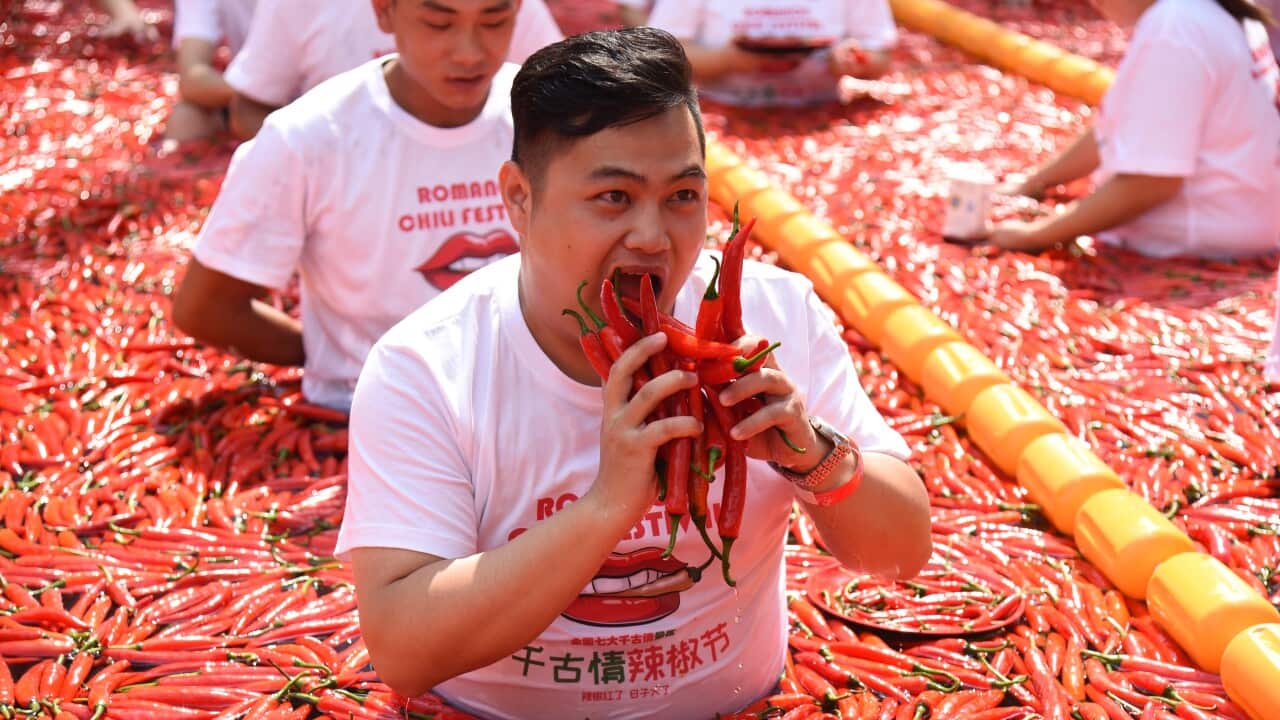 hottest chilli contest