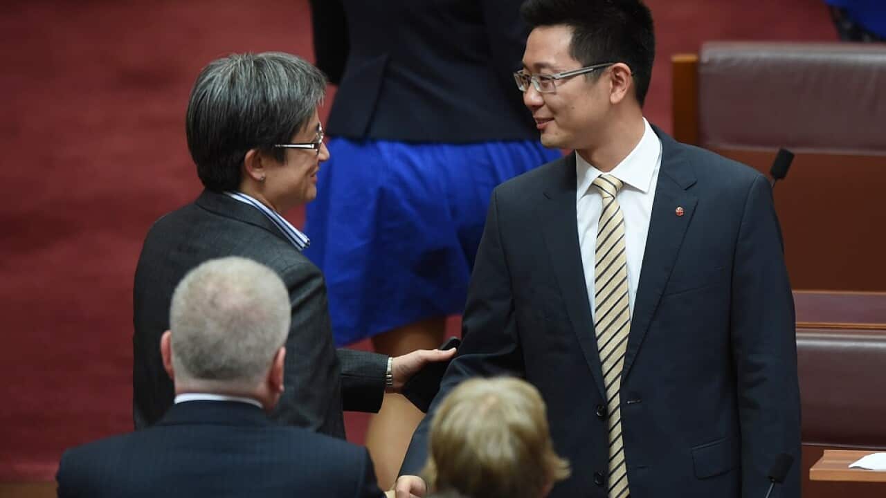 Dio Wang - calling Australia home, but never forgetting the past | SBS News