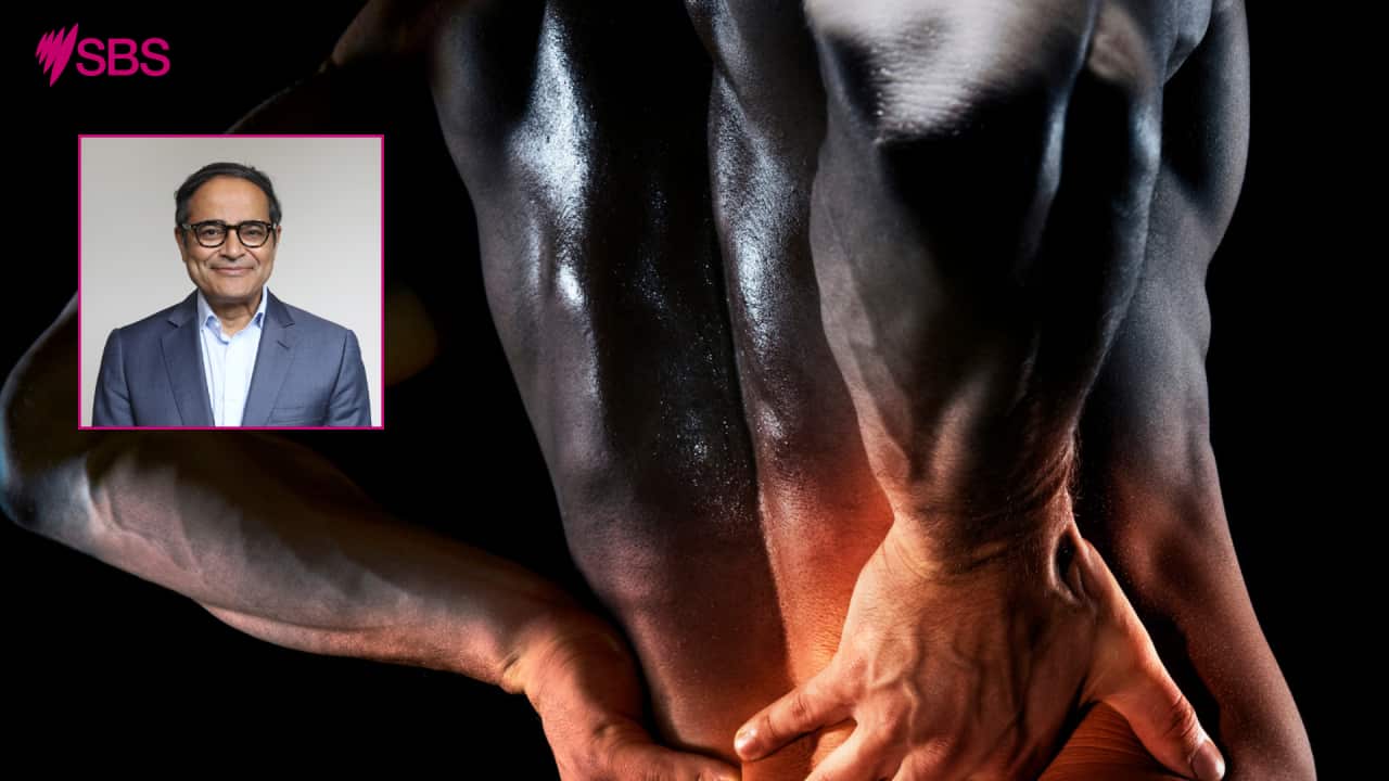 Will a novel technique of protein injection help relieve slip disc pain ...