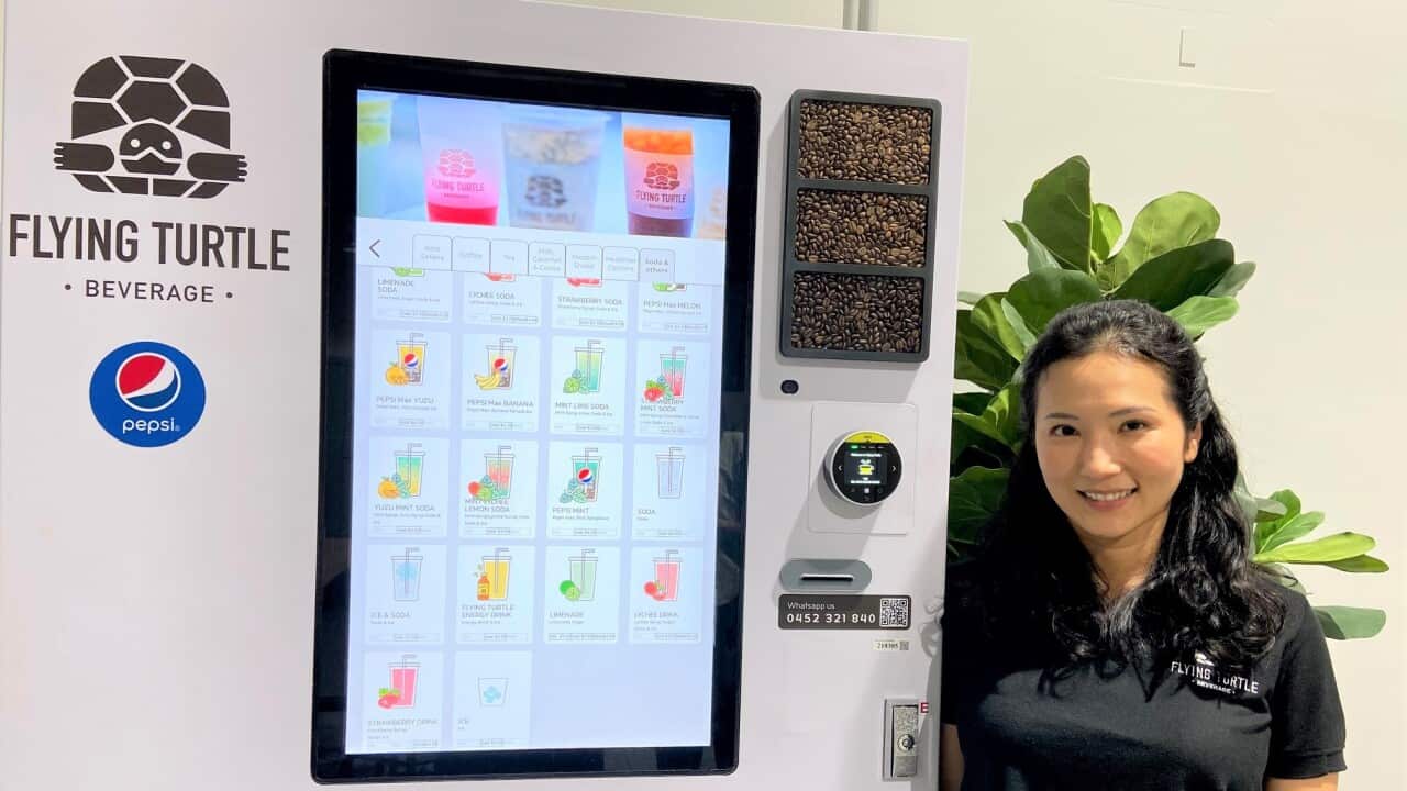 flying turtle australia